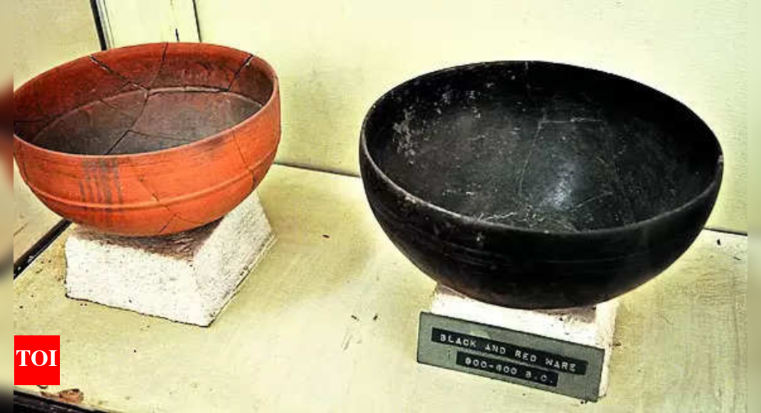 Ancient Cooking Techniques of Harappans: Boiling & Frying Revealed by Pottery Analysis ...
