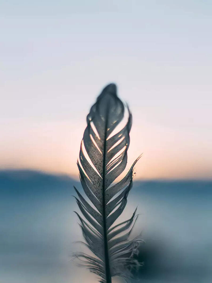 Types of relationships and their effect on your life | Times of India