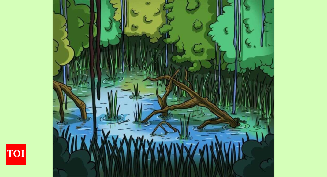 Optical illusion: Only the one with real hunter eyes can spot the ...