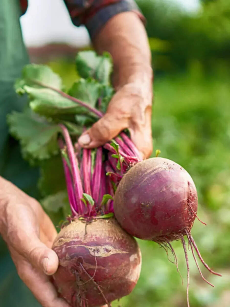 8 ways to add iron-rich beetroot to your daily dinner | Times of India
