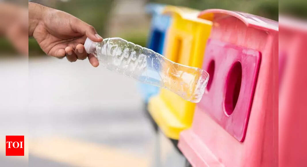 Waste Segregation: Three Societies Leading the Way in Waste Segregation ...