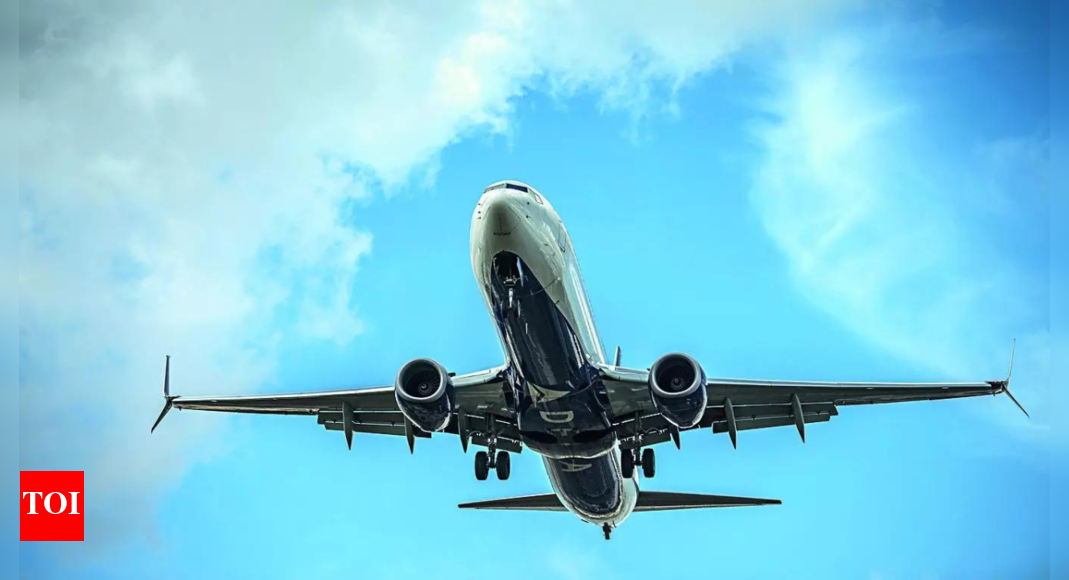 US FAA issues safety alert over Boeing 737 rudder issue - Times of India