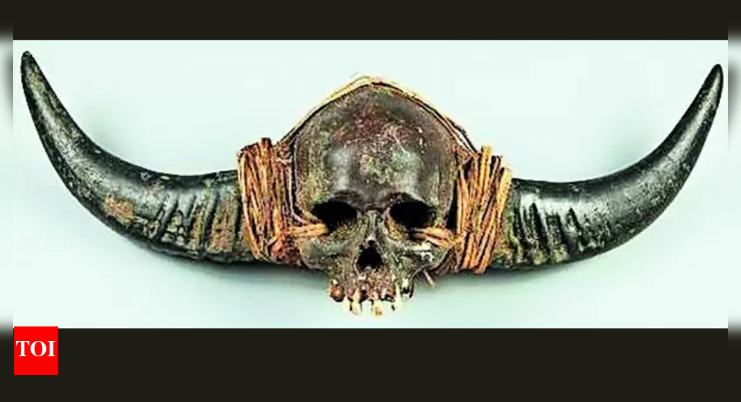 Naga Human Skull: Nagaland CM Seeks EAM's Urgent Action Against UK ...