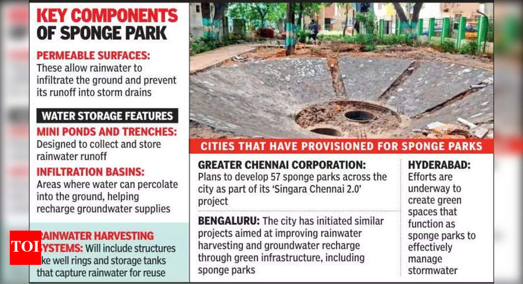 Ahmedabad Launches Innovative Sponge Parks to Combat Urban Flooding and ...