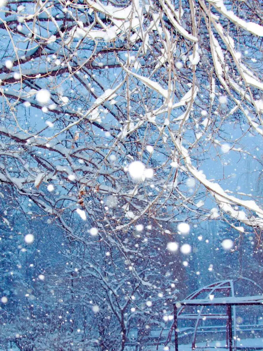 10 cold winter destinations to visit this November in India | Times of ...