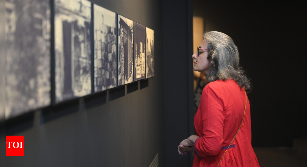 Unseen Shadows: Celebration of contemporary art in Delhi | Events Movie ...