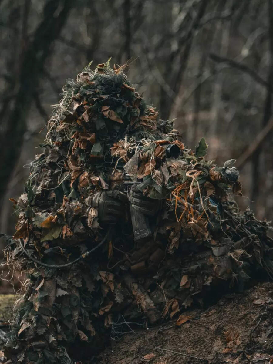 Picture Puzzle: Find the Soldier in This Image | Times Now