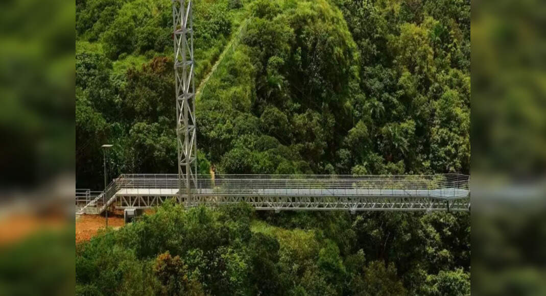 Vagamon's Cantilever Glass Bridge: India’s longest glass bridge reopens ...
