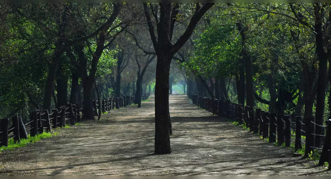 Sultanpur National Park: Think you know Delhi? This national park, less ...