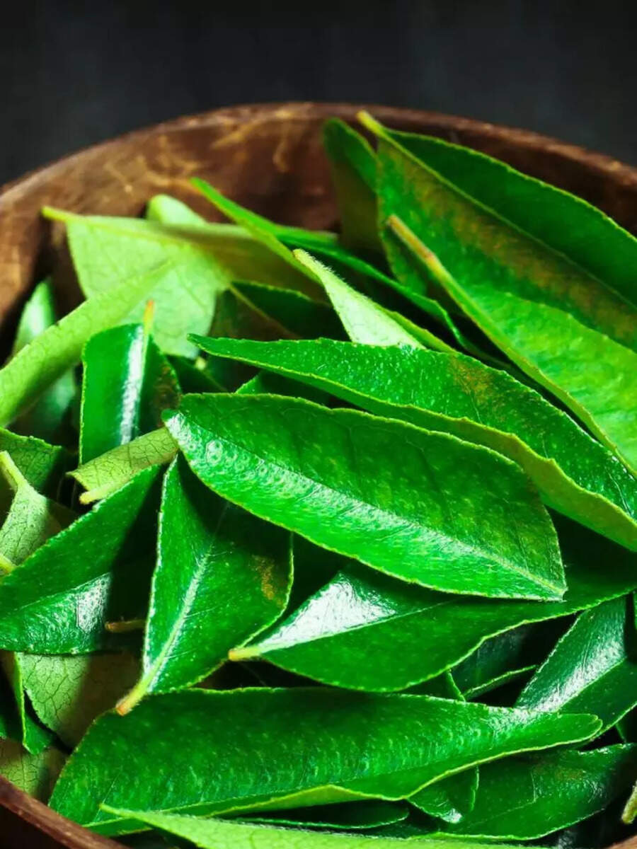 10 benefits of drinking Curry Leaf Water on an empty stomach | Times of ...