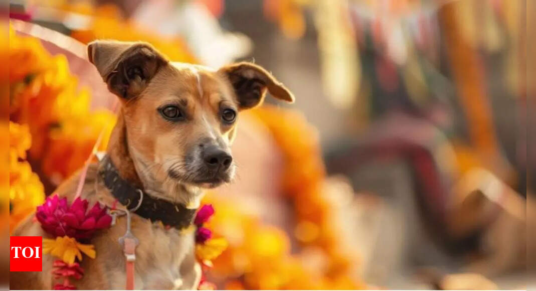 Bengaluru to Celebrate Festival of Dogs: Kukur Tihar on October 17 for ...