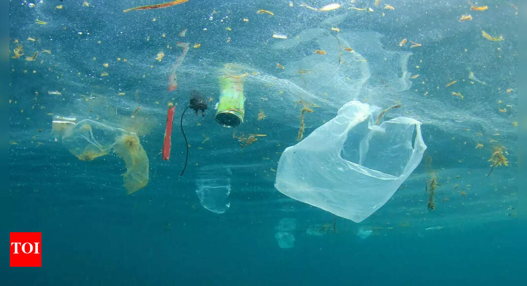 10 easy ways to reduce plastic pollution; the impact and reasons of ...