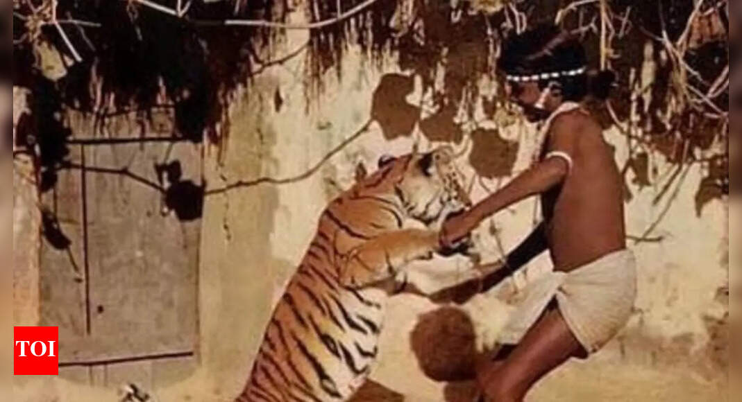 The 'Tiger Boy' of India, whose inspiring story had won an Oscar ...