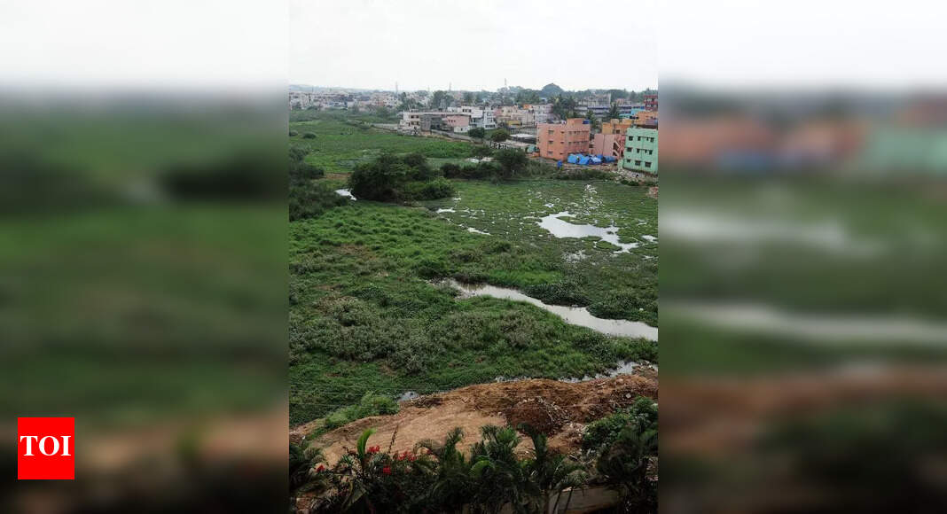 NGT: NGT Takes Action Against Blocked Drains and Lake Encroachments in ...