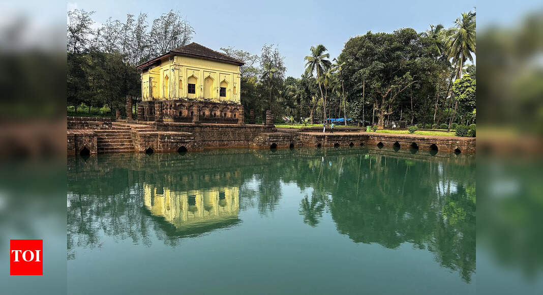 Crabs scoop out water tank’s wall at centuries-old Safa Masjid in Ponda ...