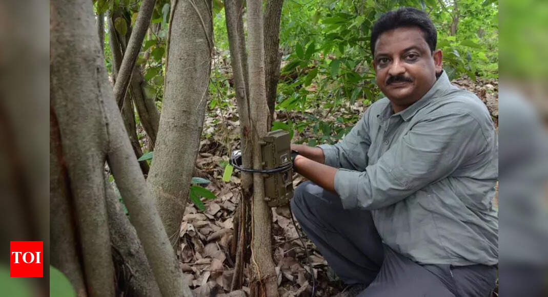 Call for Natural Healing: Wildlife Biologist Advocates for Minimal ...