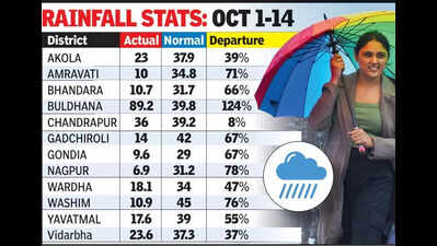 Nagpur Rainfall: Nagpur Faces 78% Rainfall Deficiency in October Amid Mixed Monsoon Forecasts ...