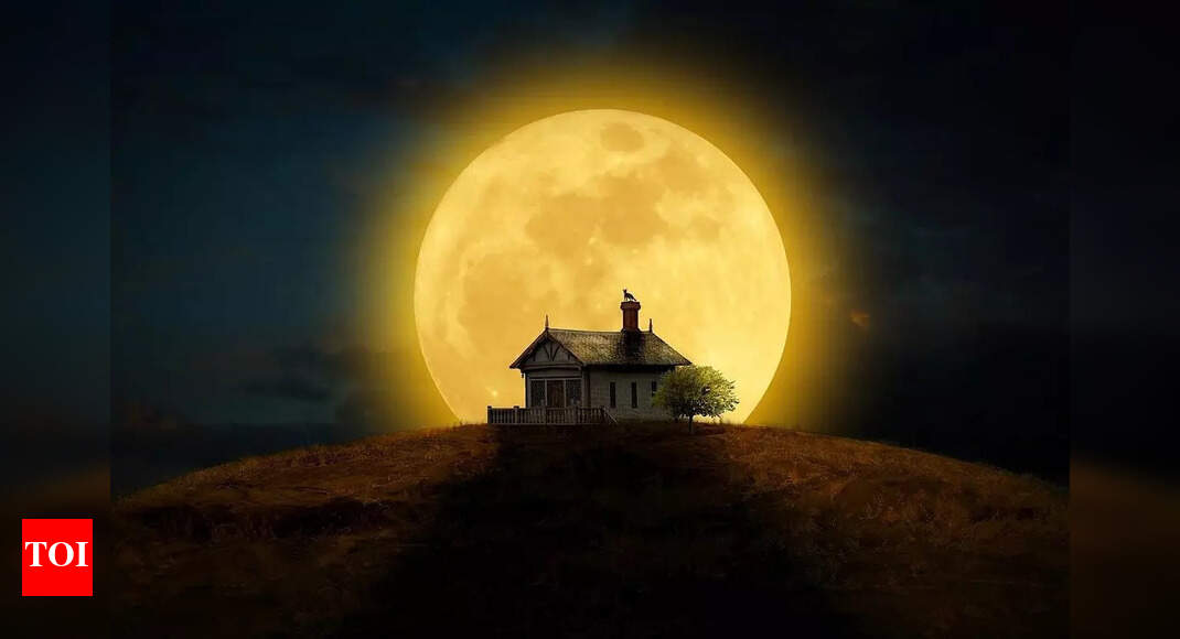 October Full Moon 2024: Its impact on your zodiac sign | - Times of India