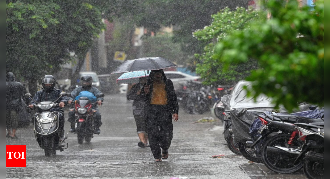 Tamil Nadu govt suspends online classes during rain holidays | Chennai ...