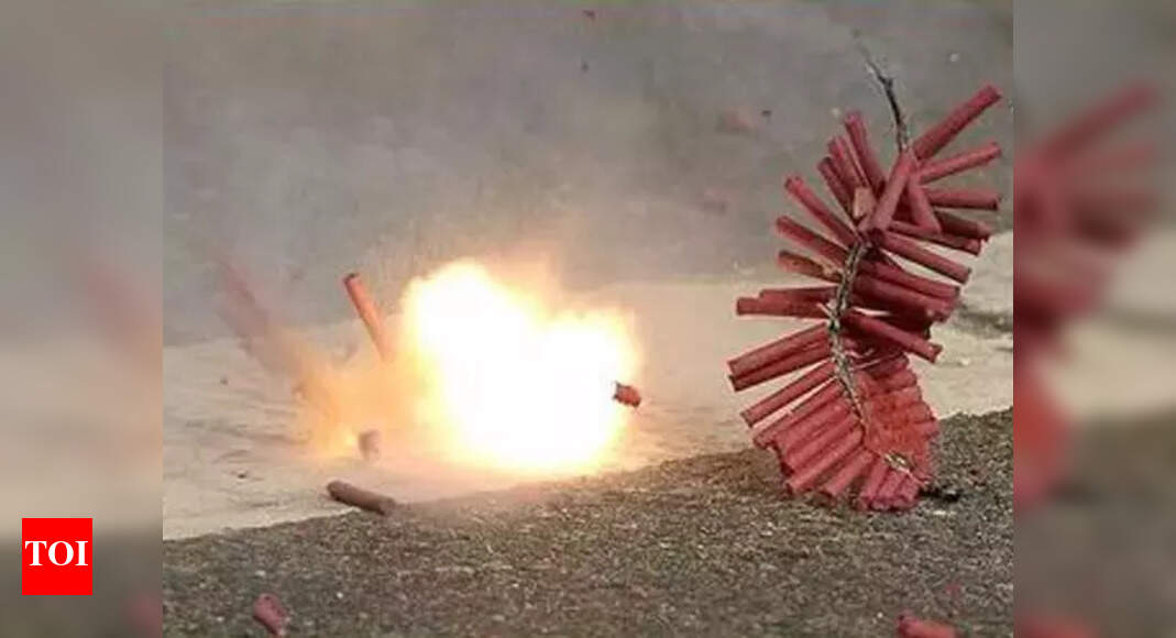 Delhi police seize 104 kg firecrackers, 2 held | Delhi News - Times of ...