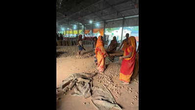 Red Potato Scandal: 21 Quintals of Dyed Potatoes Seized in Ballia ...