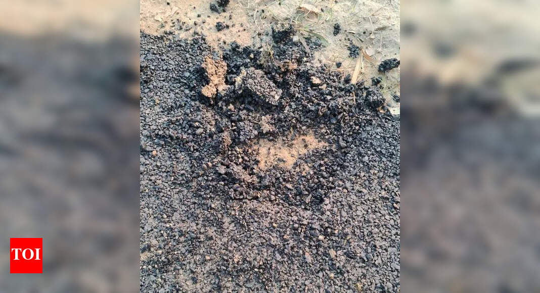 Pilibhit District Magistrate Orders Investigation into Newly ...