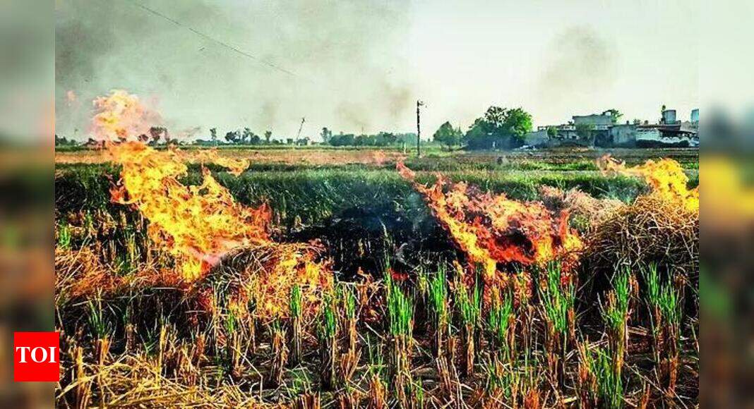 Punjab recording over 100 farm fires daily, share in Delhi’s PM2.5 ...