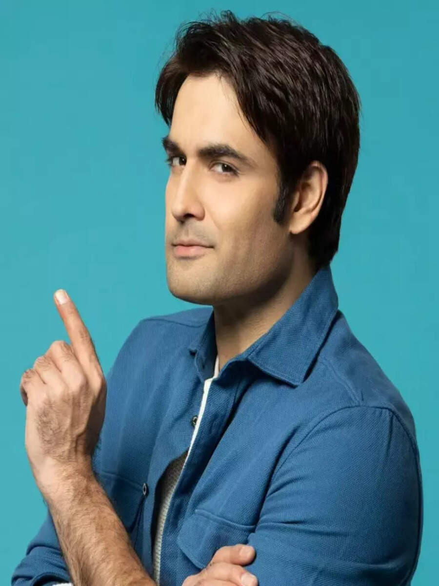 Bigg Boss 18: Vivian Dsena’s Net Worth | Times Now