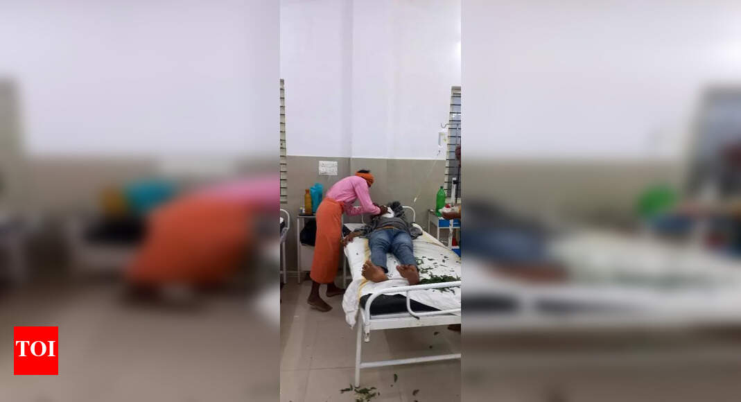 Snakebite: Bizarre 'Jhar-phoonk' Ritual in MP Hospital for Snakebite ...