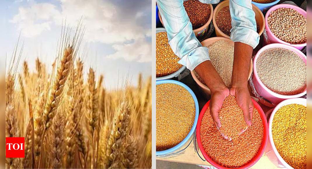 MSP for 6 rabi crops hiked ahead of sowing season | India News - Times ...