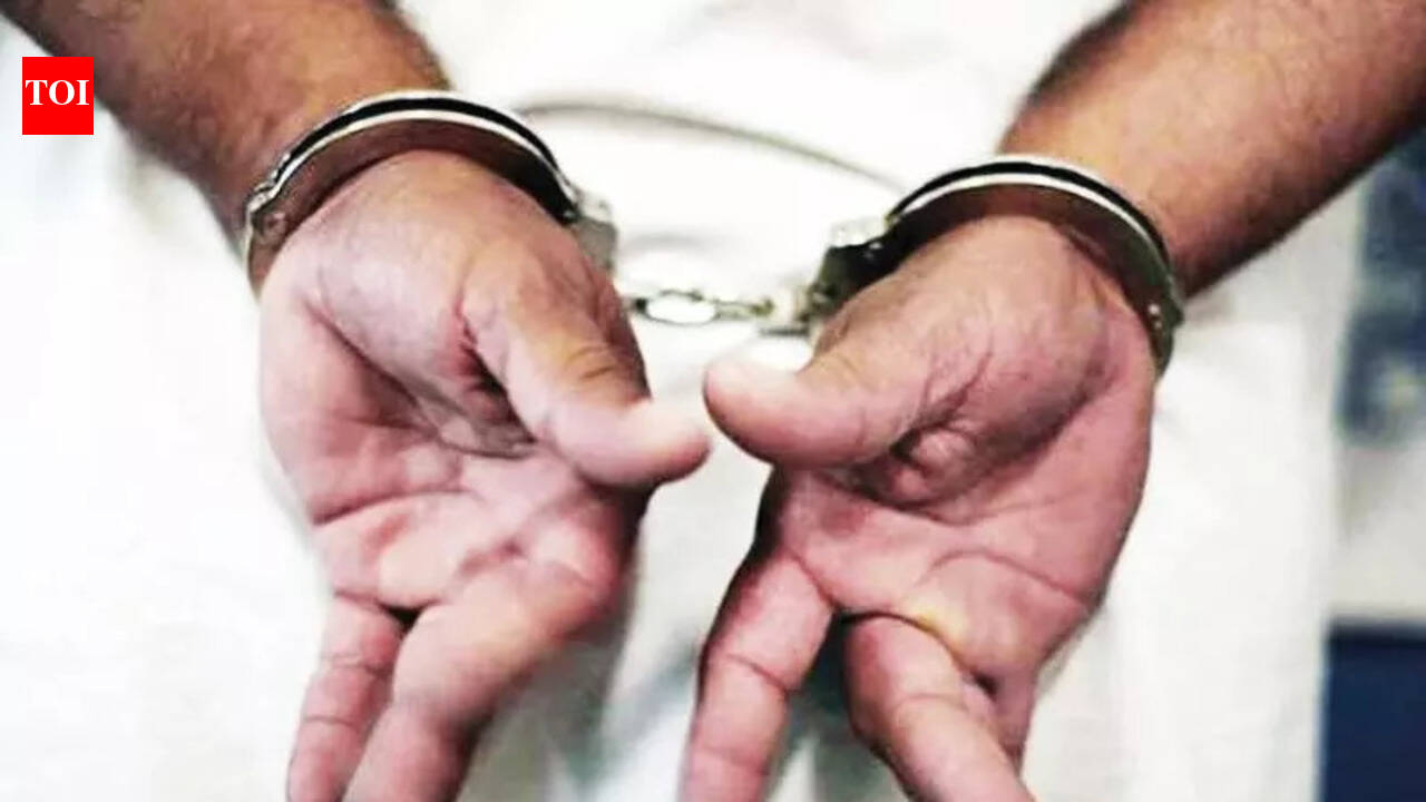 Abu Salem: Abu Salem's Release Date Plea: Jail Authorities Deny ...