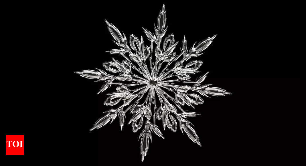 Hollywood’s Crystal Obsession: Glamour and Good Vibes - Times of India