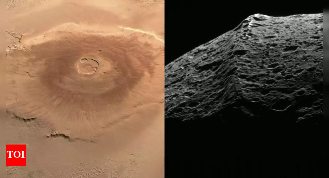 Olympus Mons, Equatorial Ridge, and other tallest mountains in the ...