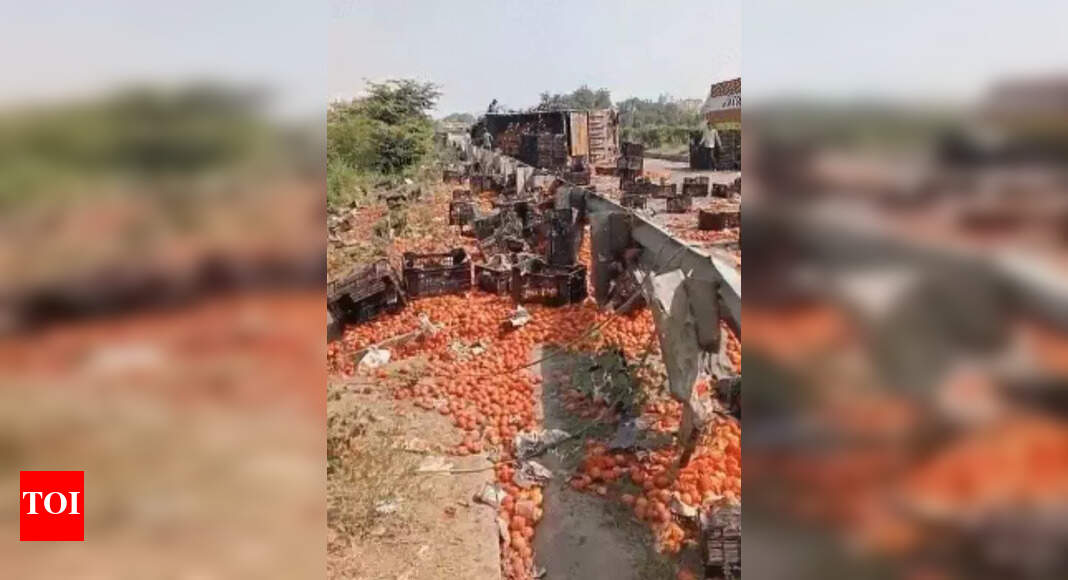 Highway Tomato Spill: Cops Rescue 1800 kg of Tomatoes After Truck ...