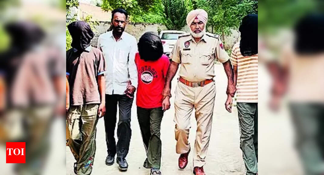 Gurpreet Singh: Punjab Police Arrest Gangster Aides in Sikh Activist ...