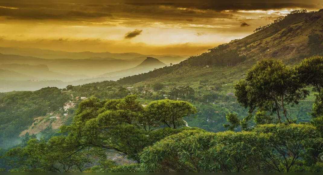 5 popular heritage sites in Kerala to bookmark | Times of India Travel