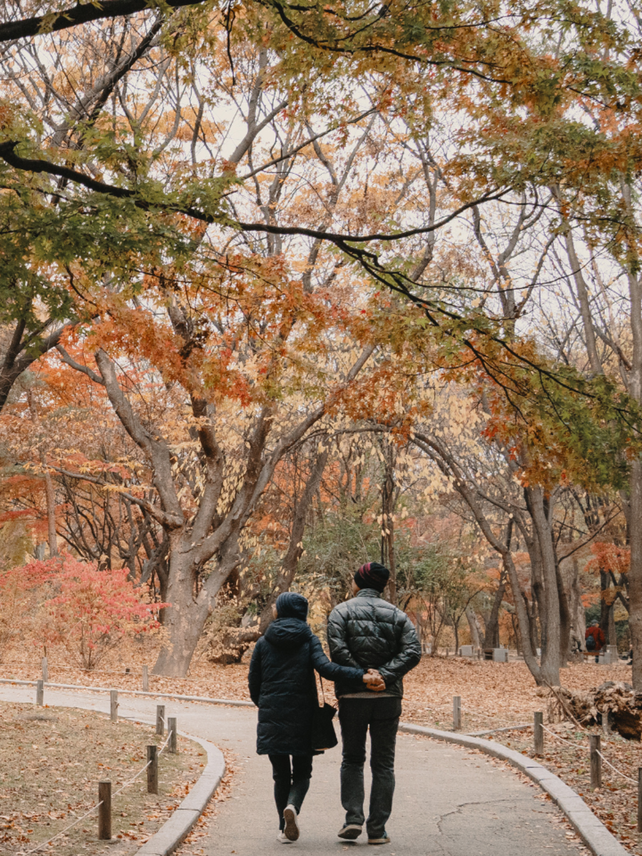 Planning A Trip To Gujarat In Winter? 10 Places You Should Go To ...