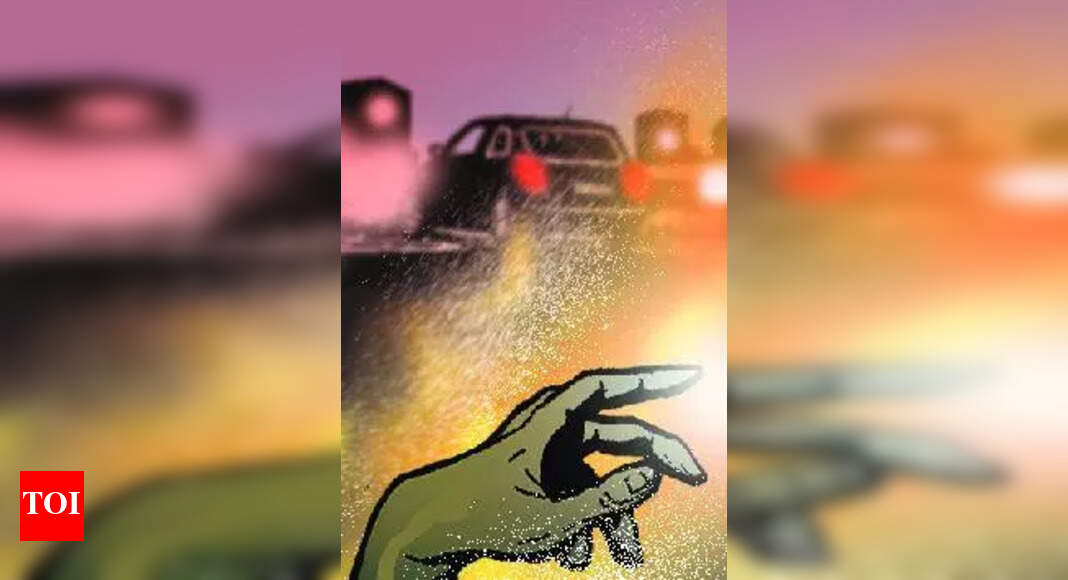 Gruesome Family Murder in Nagpur: Son Killed Over Alcohol Dispute ...