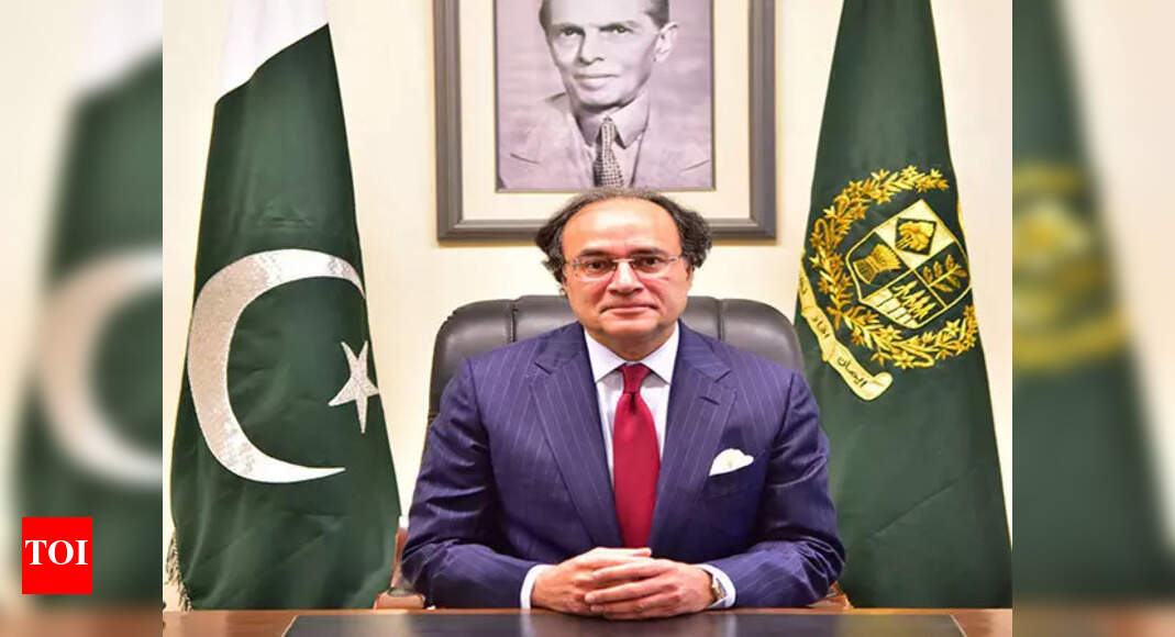 Pakistan's finance minister to attend key IMF and World Bank meetings ...