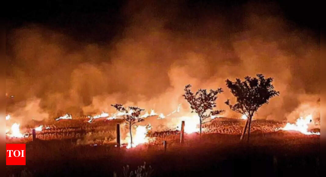 Haryana farm fires: 13 farmers held for burning stubble in Kaithal, 14 ...
