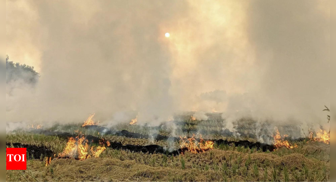Stubble burning case have reduced from 7,000 in 2023 to 2,300 in 2021 ...