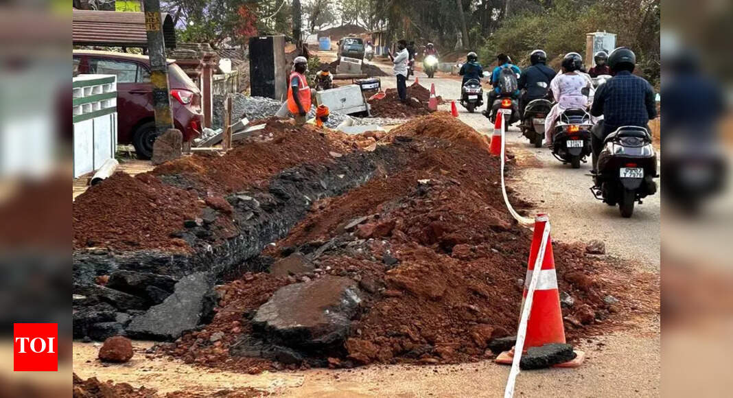 Ribandar flooding: Is Smart City development to blame? | Goa News ...