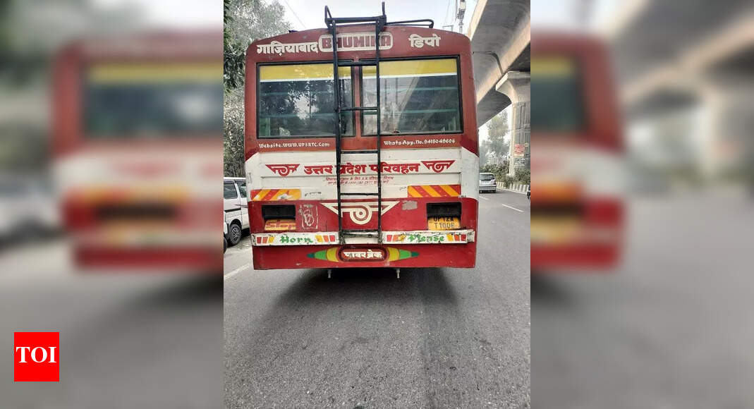 Tragic Road Accident: Young Woman Killed While Heading to Job Interview ...