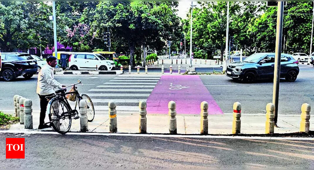Cycle Tracks: Cycle Tracks in Chandigarh: A Disappointment of Neglect ...