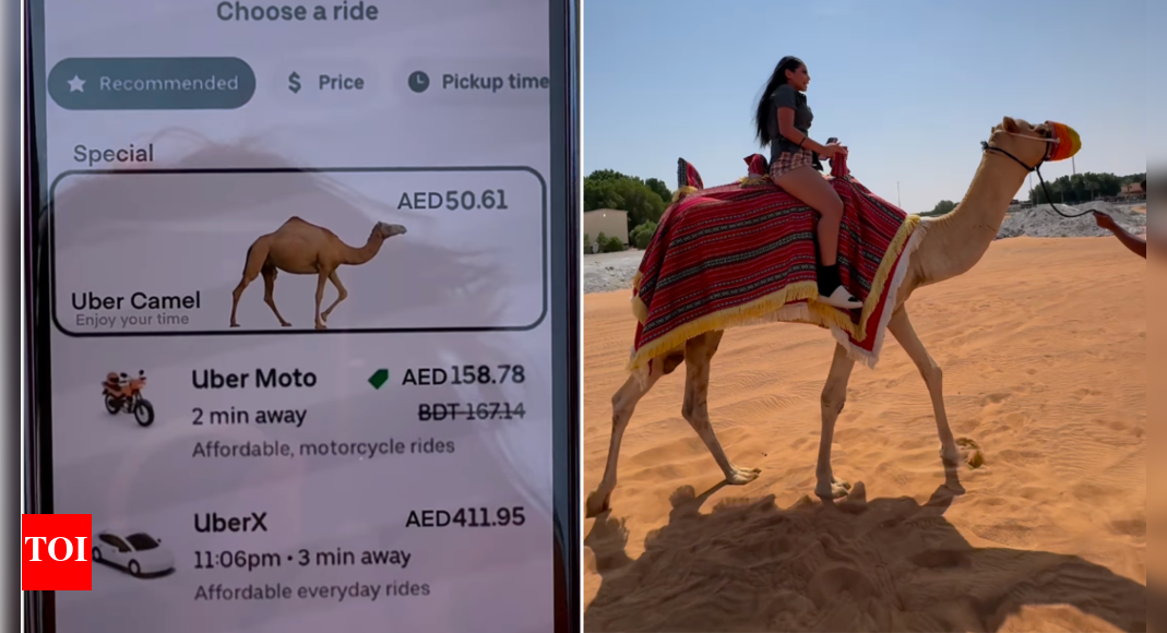 Uber Camel: No, you cannot get a Camel ride via Uber in Dubai; here's ...