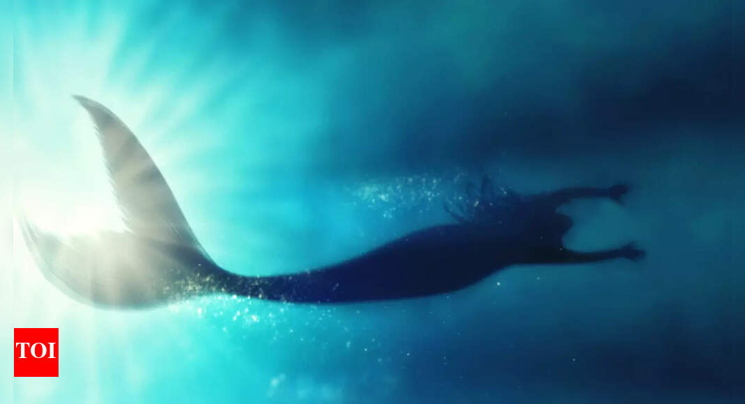 THIS animal has no brain, heart, bones, or eyes! | - Times of India