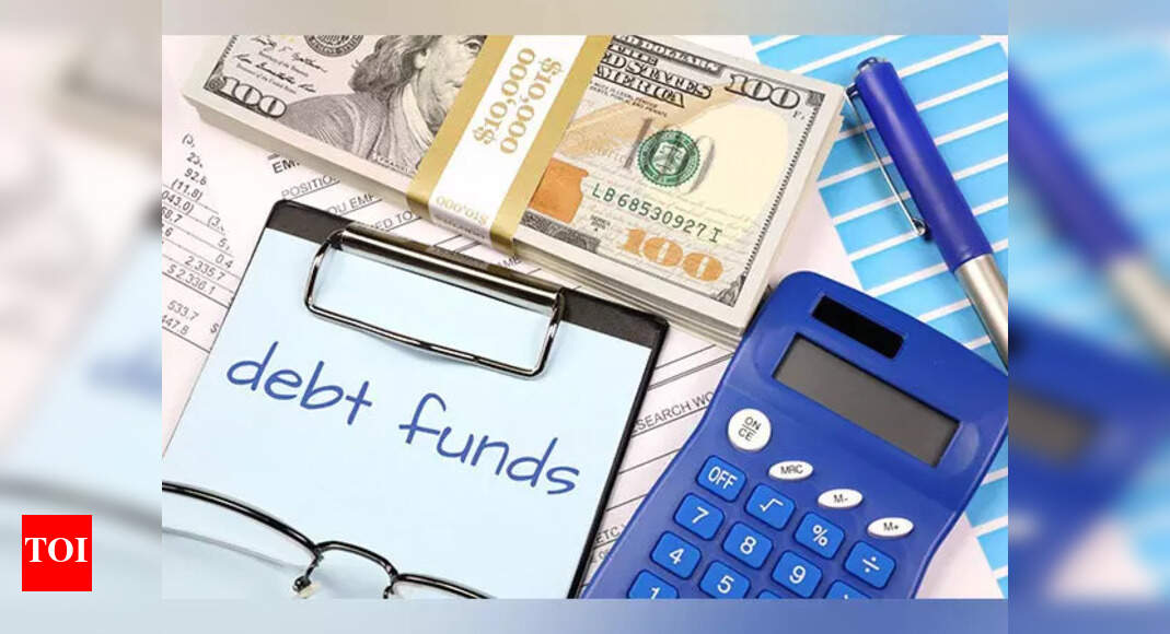 Foreign debt financing by Brazilian issuers surges in 2024 - Times of India