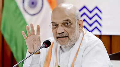 Amit Shah meets Mahayuti leaders to sort out seat-sharing niggles | India News - Times of India