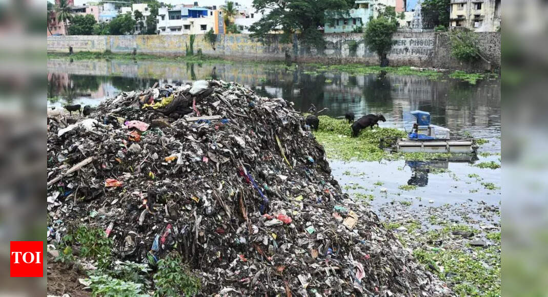 AI Cameras to Combat Garbage Dumping in Chennai | Chennai News - Times ...