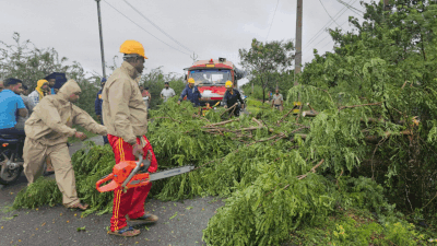 Cyclone Dana hits Odisha coast: NDRF and ODRAF teams begin clearing uprooted trees | Bhubaneswar ...